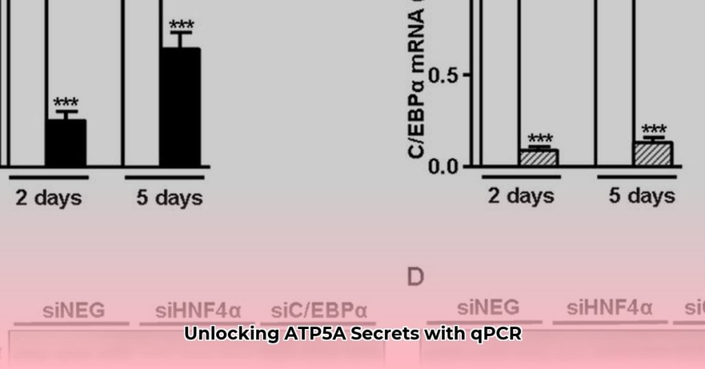 ATP5A qPCR Primers: Design, Validation, and Applications - Lifestyle ...