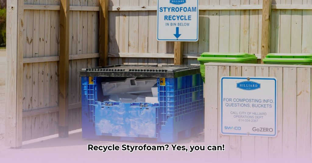 How to Recycle Styrofoam: Your Guide to Curbside and Drop-off Programs ...