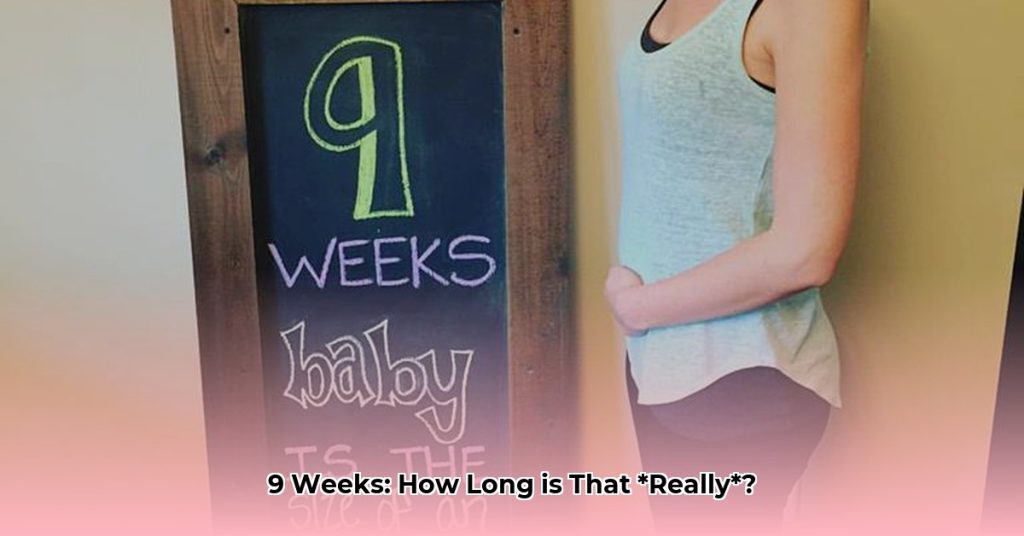 How Long is 9 Weeks? (In Days, Months, and More) - Lifestyle and ...