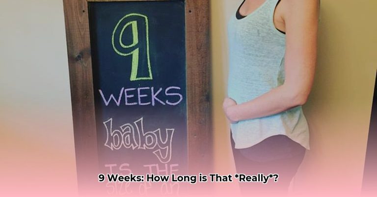 How Long is 9 Weeks? (In Days, Months, and More) - Lifestyle and ...