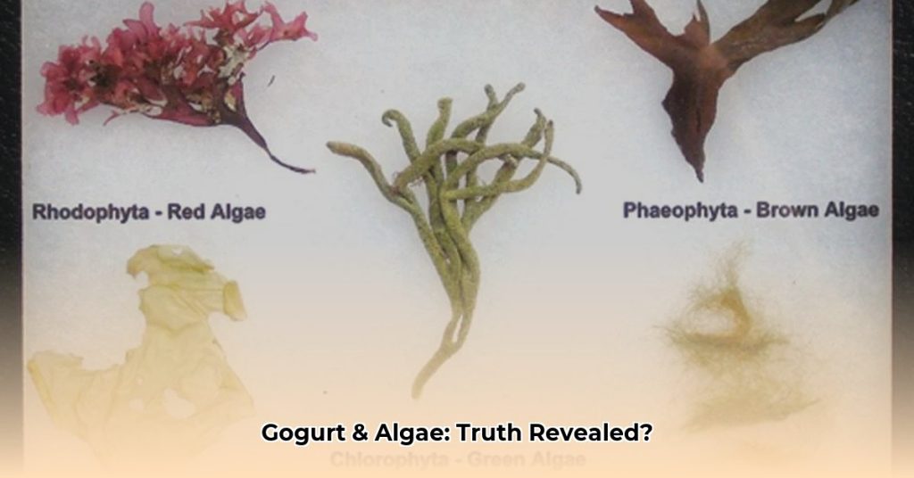 Is Gogurt Made From Algae? Separating Fact From Fiction - Lifestyle and ...