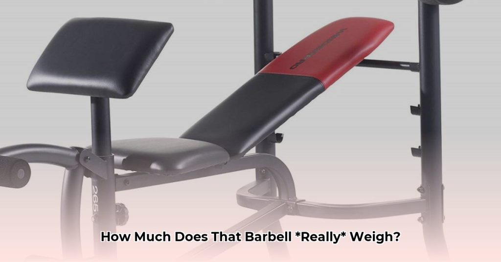 How Much Does a Bench Press Bar Weigh? (Types and Variations Explained ...