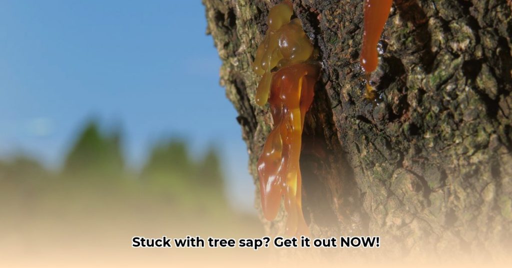 How to Get Tree Sap Out of Clothes: Effective Removal Methods & Tips ...