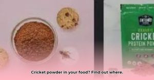 What Foods Contain Acheta Powder? (A 2024 List of Products & Brands ...