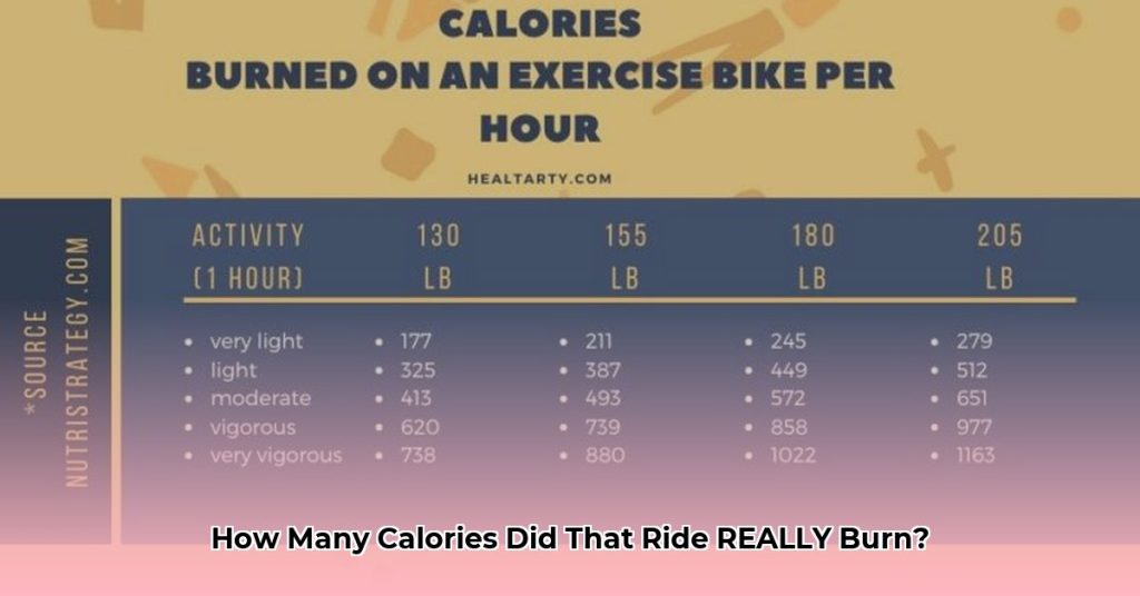 Bicycle Calorie Calculator: Accurately Estimate Your Calorie Burn ...
