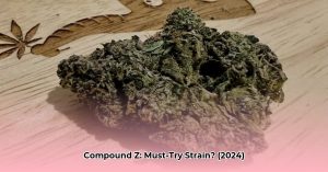 Compound Z Strain Review: Effects, Aroma, Flavor, & Genetics (2024 ...