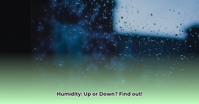 Does Humidity Rise or Fall? The Science of Humid Air and Relative ...
