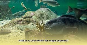Halibut vs Cod: The Ultimate Guide to Choosing - Lifestyle and Productivity