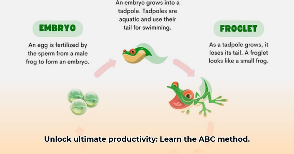 Master the ABC Method of Time Management: Boost Productivity Now ...