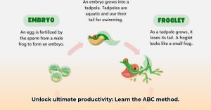 Master the ABC Method of Time Management: Boost Productivity Now ...