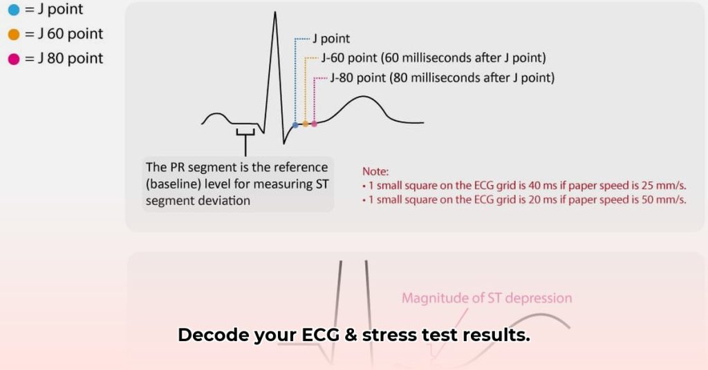 Understand Borderline ECG & Stress Test Results: Expert Guide ...